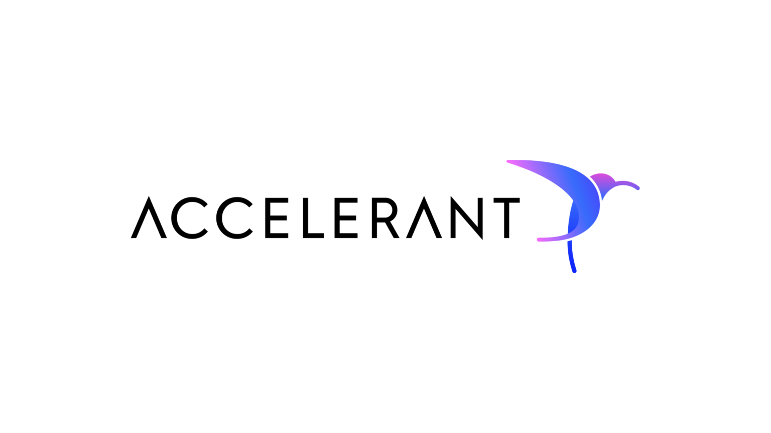 Data-fueled Insurance Platform Accelerant Announces Growth Funding ...