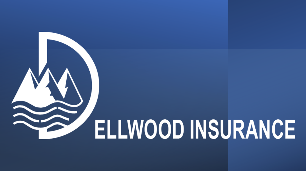 Dellwood Insurance Group Launches with US$250 Million Capital ...